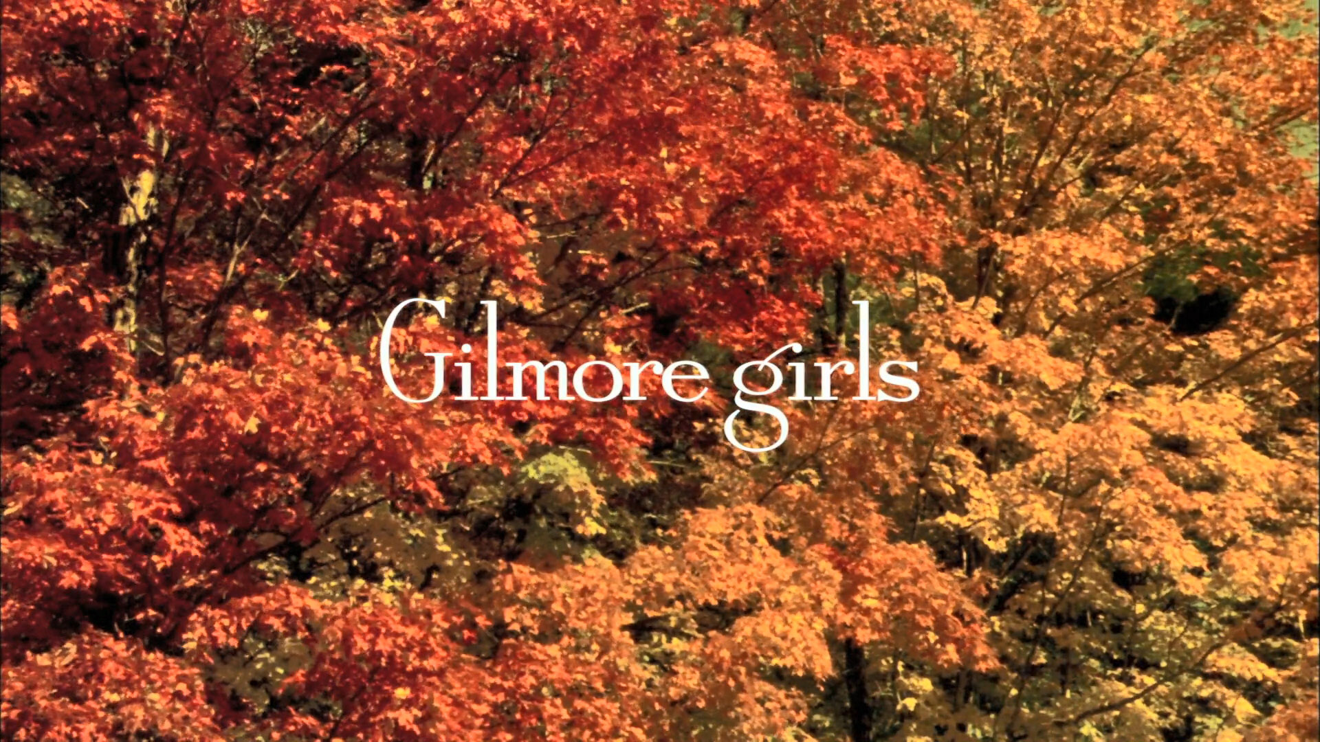 13 gráficos que todos os fãs de Gilmore Girls vão entender | Gilmore ...